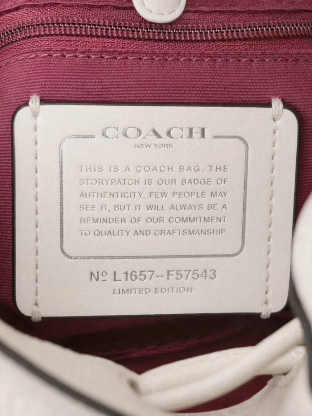 Coach | Bags | Coach Blossom Petal Bucket Bag Chalk Pebble Leather ...